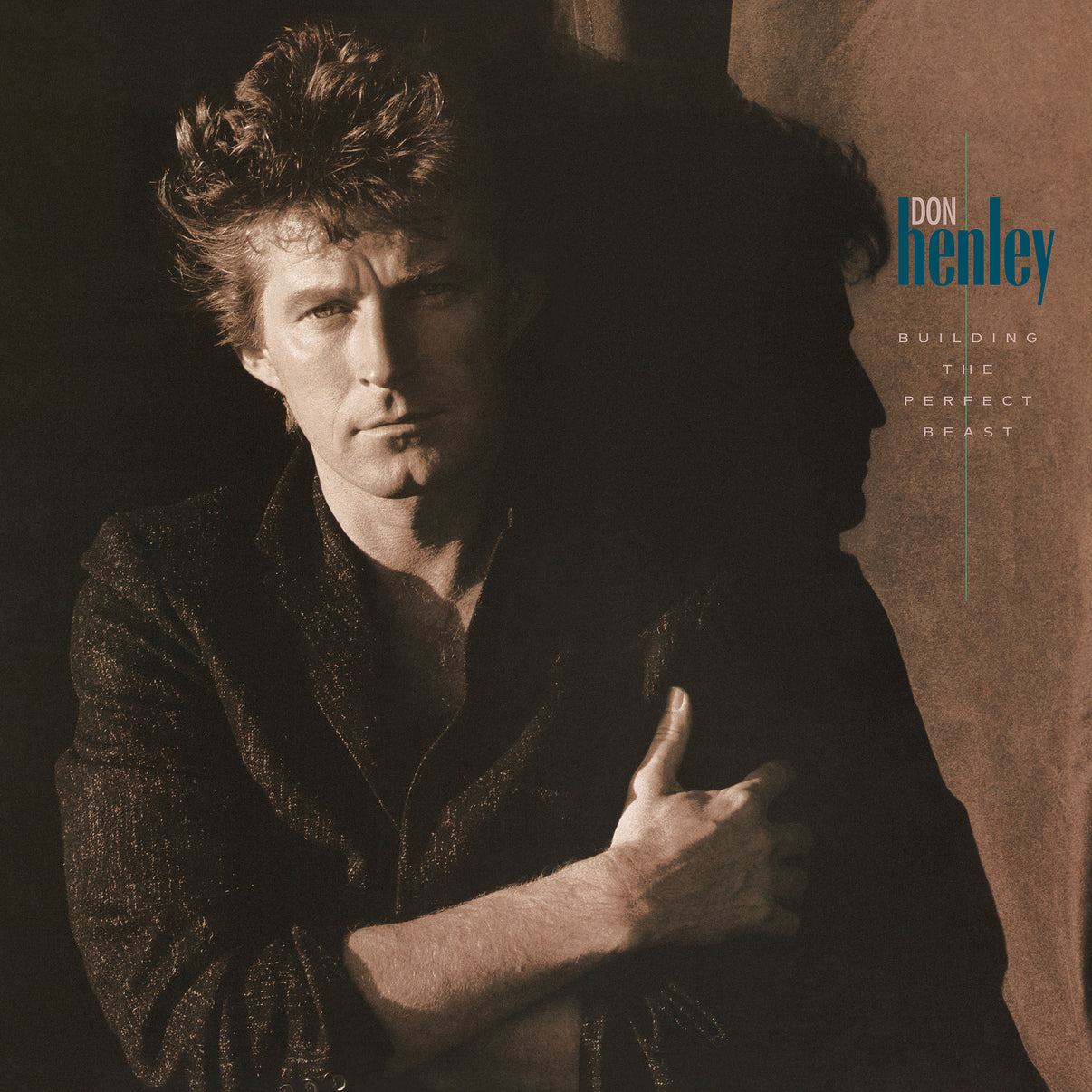 Building The Perfect Beast (2LP) – Don Henley